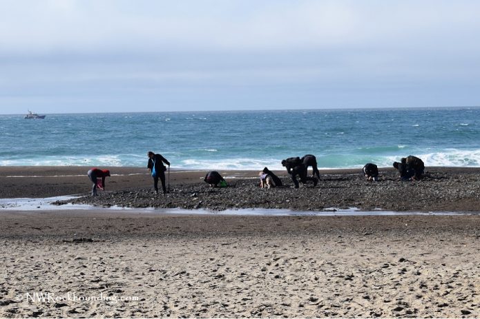 Oregon Rockhounding Sites and Geological Formations - Mapped : The ...