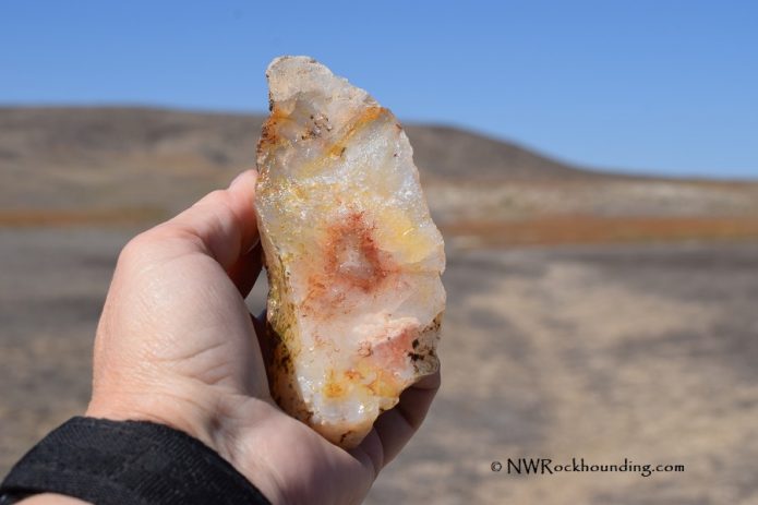 Graveyard Point - A Premier Destination for Plume Agate Rockhounding