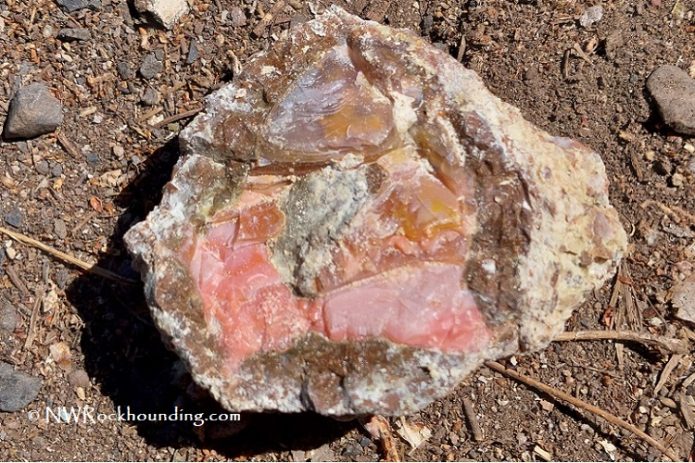 Richardson’s Rock Ranch: Discover the World-Famous Thundereggs