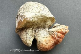 Agate Characteristics, Varieties, and Identification