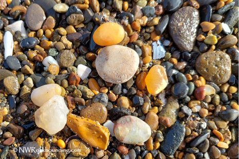 Agate Hunting in the Pacific Northwest: Where & How to Find Agates?