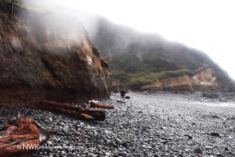 Oregon Coast Agate Hunting: Beaches and Coastal Rivers