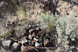 Hampton Butte - Oregon: Green Petrified Wood Destination