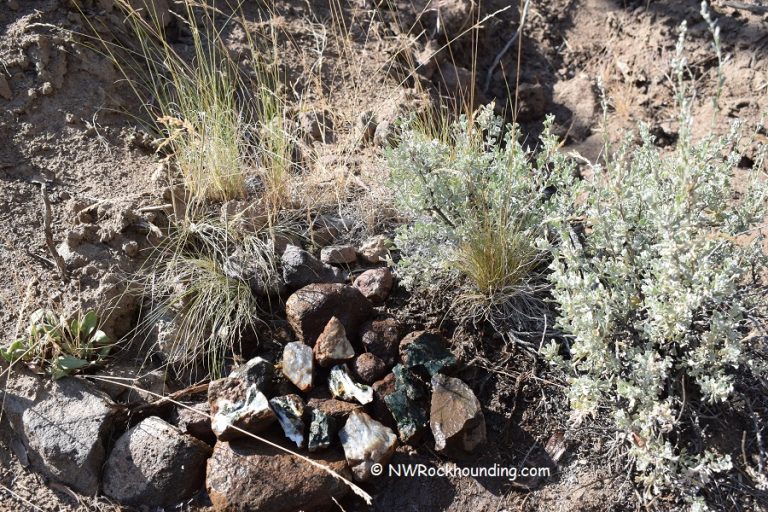 Hampton Butte in Oregon: Green Petrified Wood Destination