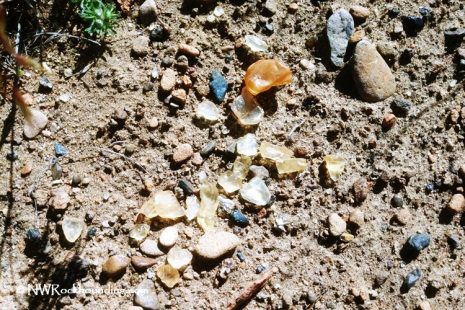 Oregon Sunstone Public Collection Area - Free Digging in Rabbit Basin