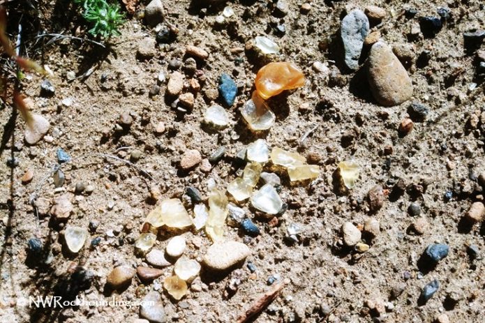 Oregon Sunstone Public Collection Area - Free Digging in Rabbit Basin