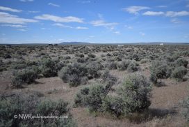 Oregon Sunstone Public Collection Area - Free Digging in Rabbit Basin