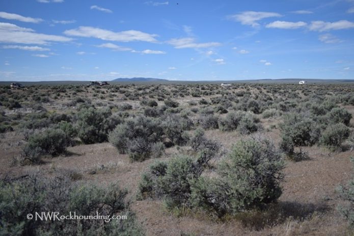 Oregon Sunstone Public Collection Area - Free Digging in Rabbit Basin