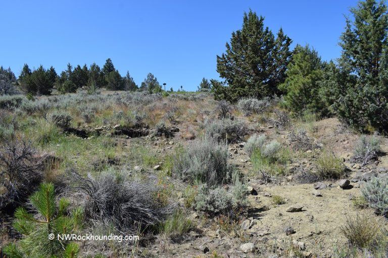 Maury Mountain Agate Bed - Rockhounding for Moss Agates