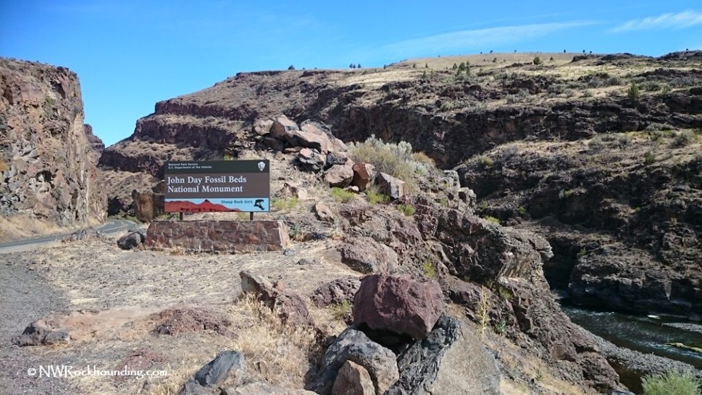 John Day Fossil Beds: Where Earth's History and Geology Collide