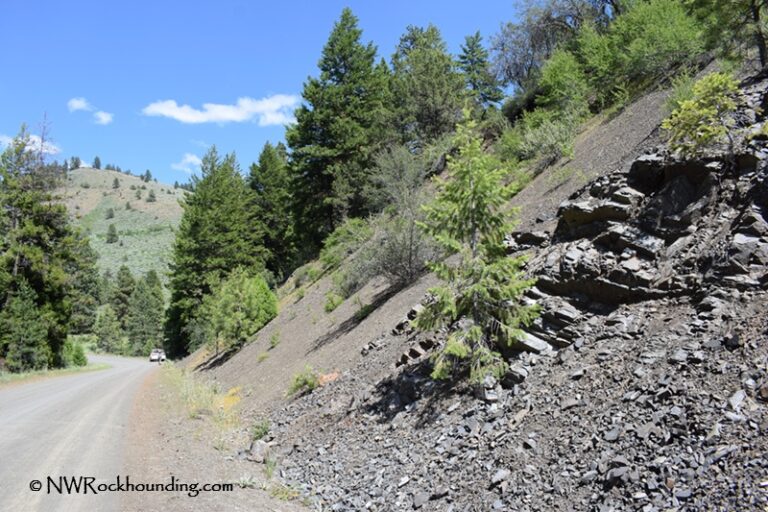 Delintment Lake Fossils – Hunting Jurassic Ammonites in Oregon