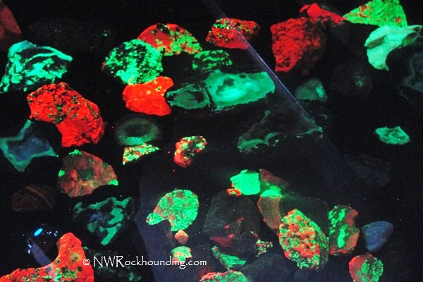 Stones That Glow: Fluorescent Minerals of the Western United States