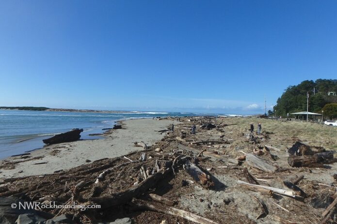 Taft Beach Rockhounding - Siletz Bay’s Hidden Treasures