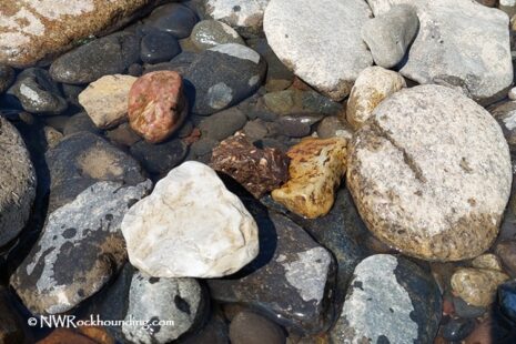 Yellowstone River Rockhounding – Unique Montana Moss Agate